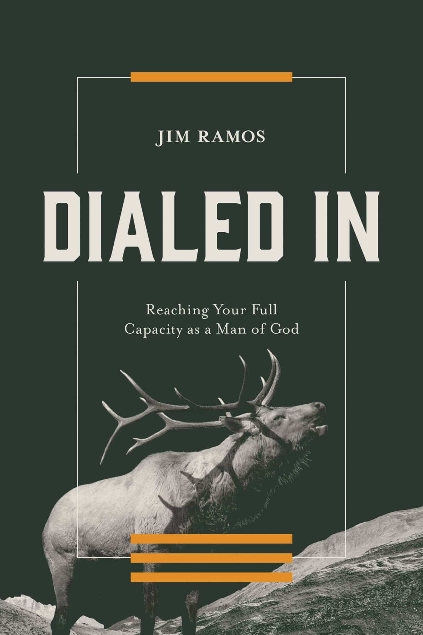 Adult & Children's Christian Books & Bible Studies | David C Cook