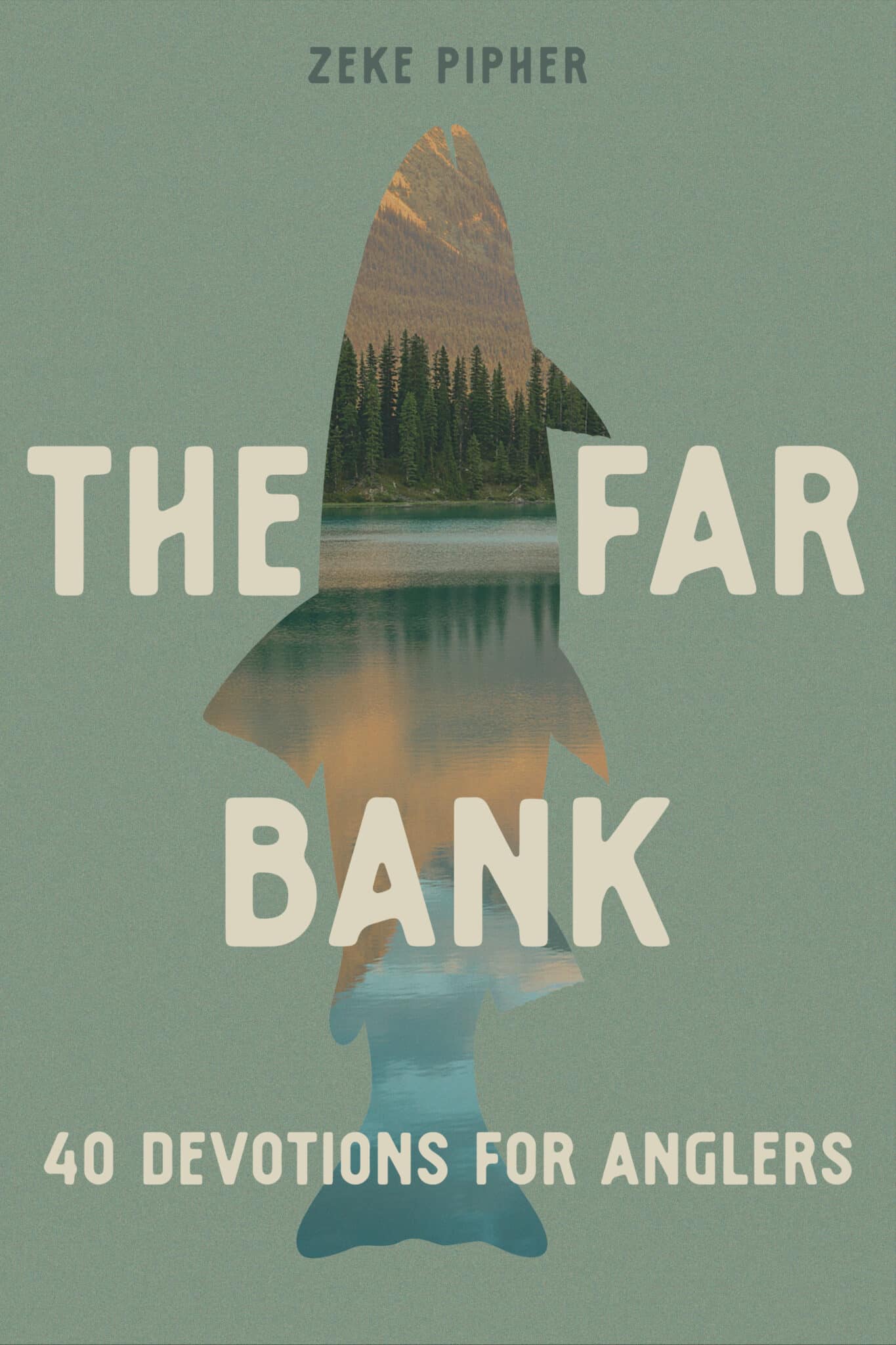 The Far Bank – David C Cook