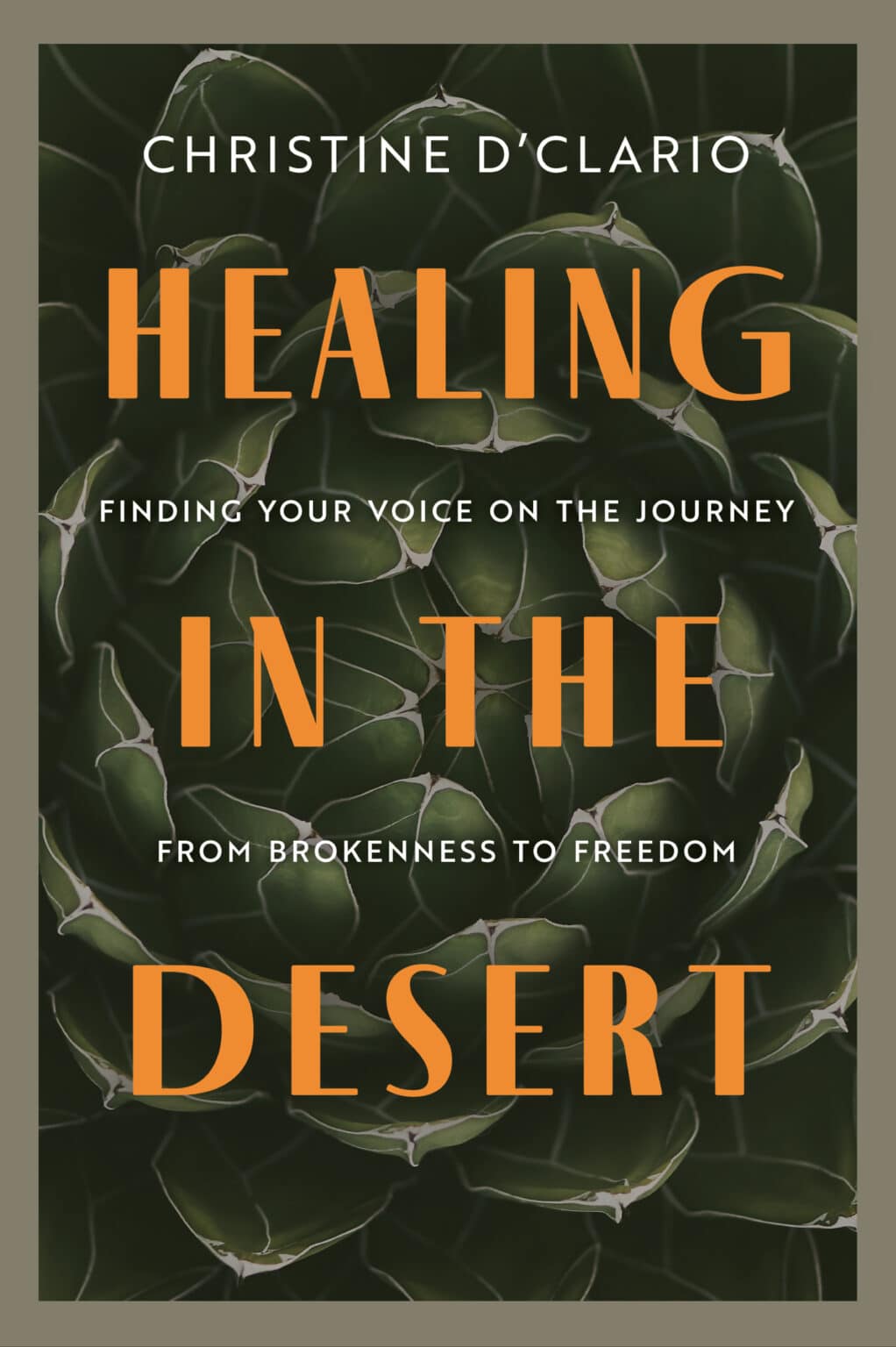 Healing in the Desert – David C Cook