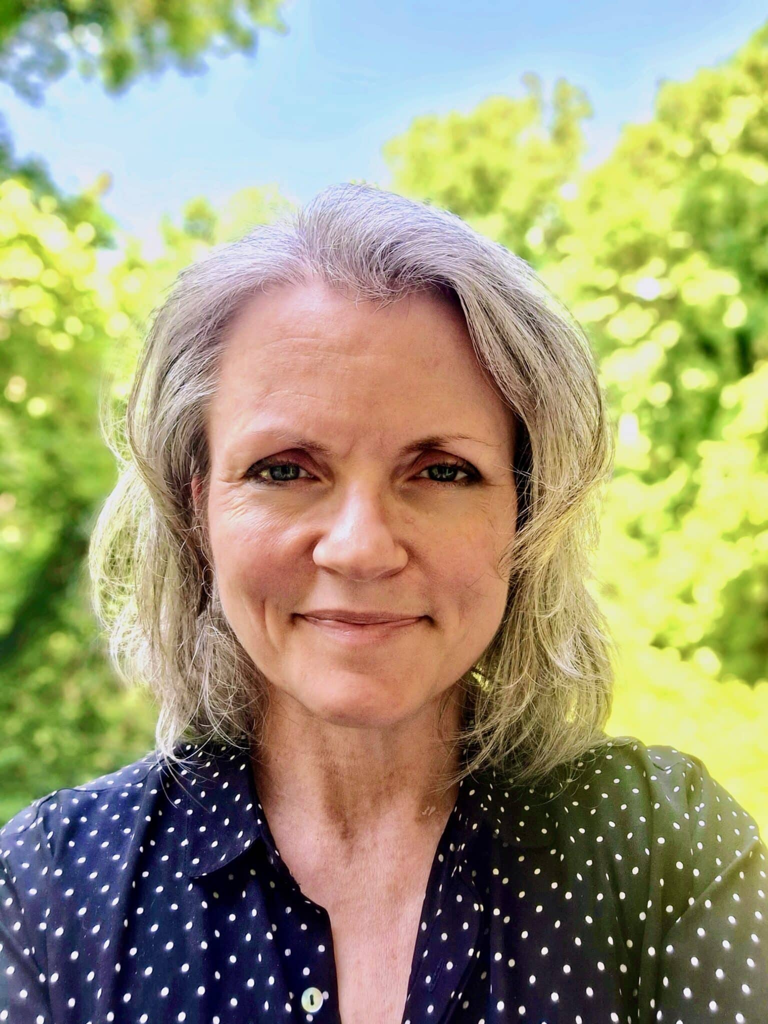 Laura Derico – David C Cook