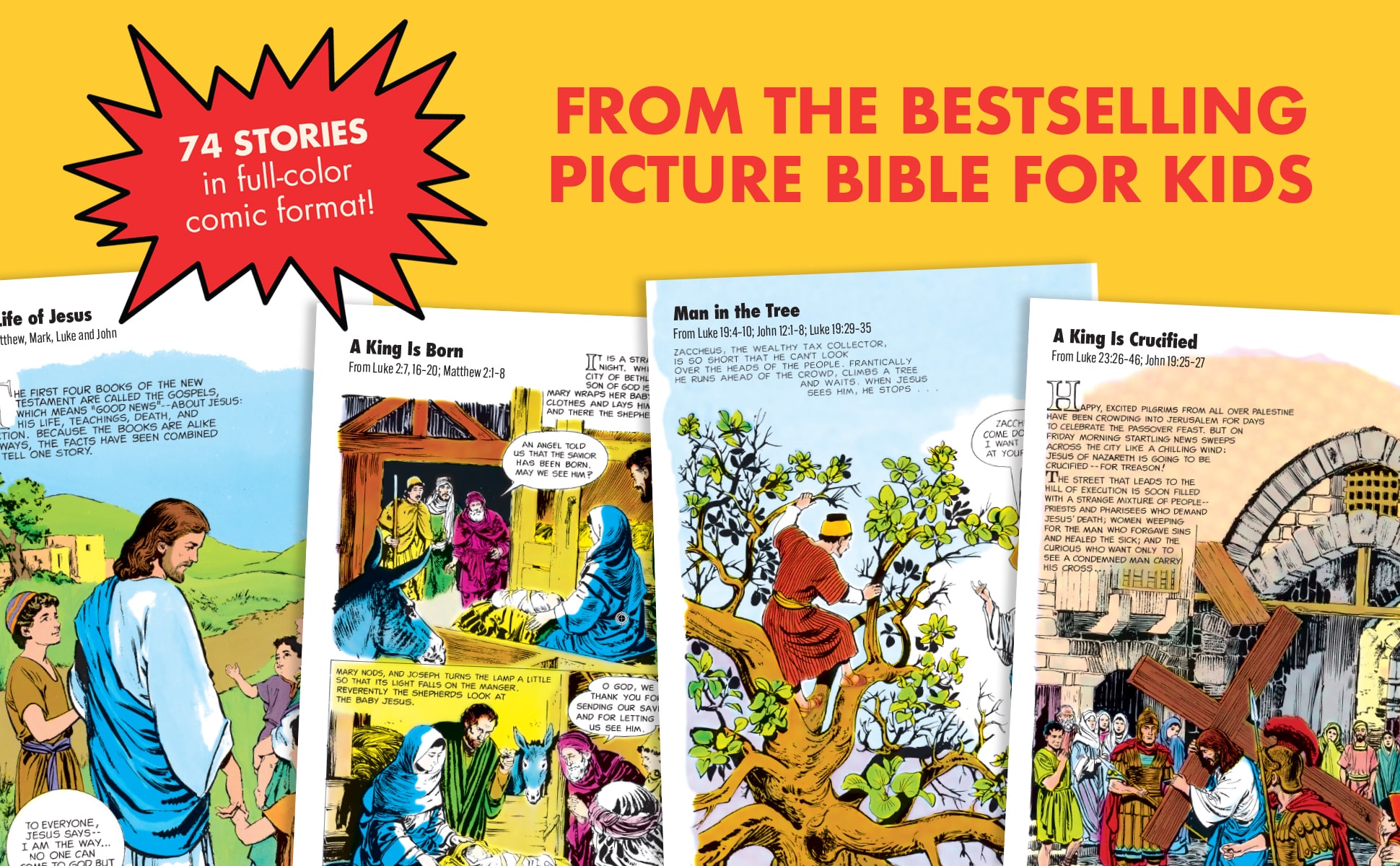 The Picture Bible New Testament – David C Cook